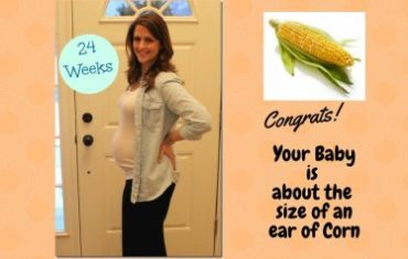 24 weeks Pregnant | Fetal Development Archives - Budding Star: Positive ...