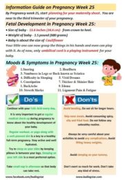 Pregnancy Week 25 | Fetal Development, Mood & Tips
