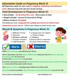 Pregnancy Week 31 | Fetal Development, Mood & Tips