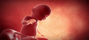 Pregnancy Week 31 | Fetal Development, Mood & Tips