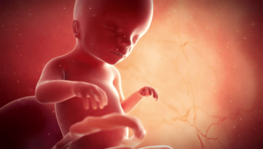 Pregnancy Week 32 | Fetal Development, Mood & Tips