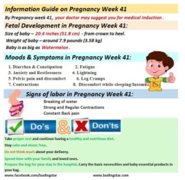 Pregnancy Week 41 | Fetal Development, Mood & Tips
