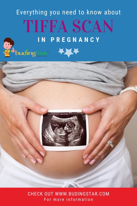 Understanding the Tiffa Scan & Ultrasound Level II Scan | Buding Star